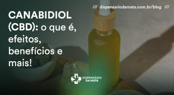Canabidiol (CBD): o que é, efeitos, benefícios e mais!